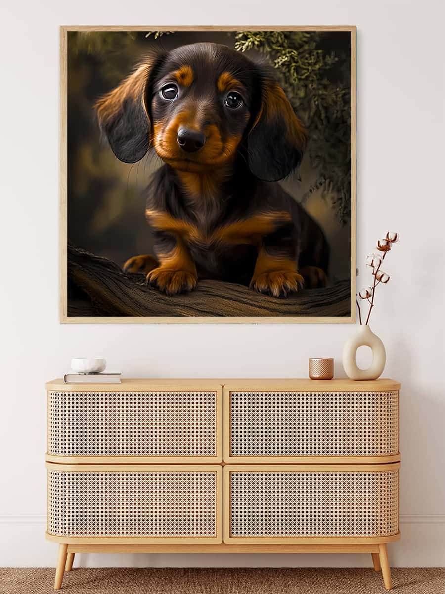 Malen nach Zahlen - Dackel blickt in Kamera - Jetzt kaufen